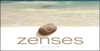 Test de Zenses Ocean sur DS par jeuxvideo.com