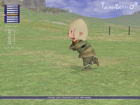 Tarutaru - Final Fantasy XI - jeuxvideo.com