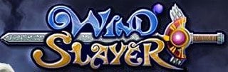 Wind Slayer sur PC - jeuxvideo.com