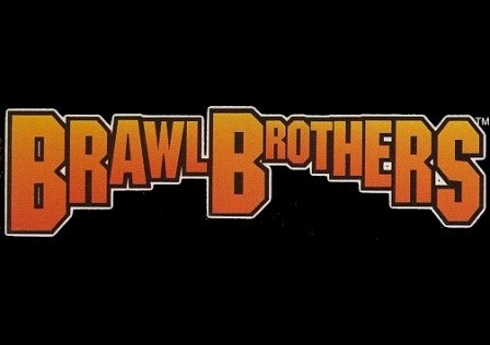 Brawl Brothers sur Wii - jeuxvideo.com