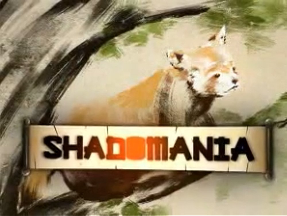 Shadowmania sur PC - jeuxvideo.com