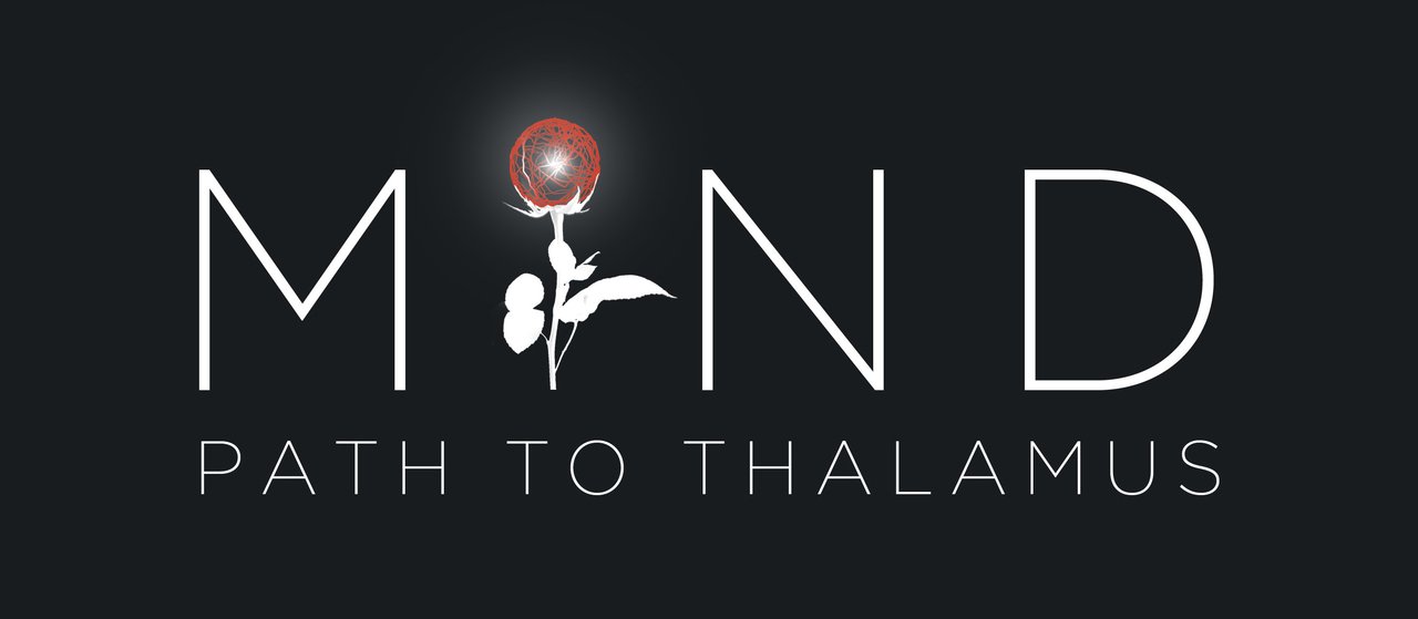 Mind : Path to Thalumus - jeuxvideo.com