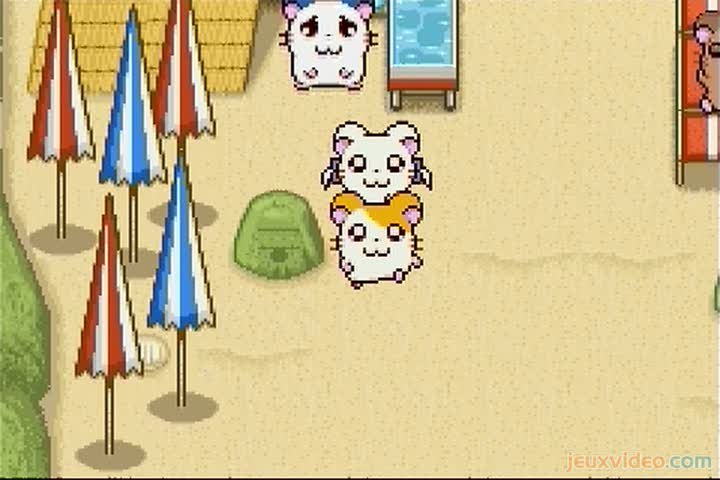 Gameplay Hamtaro : Ham-Ham Heartbreak : Hamsters enquêteurs - jeuxvideo.com