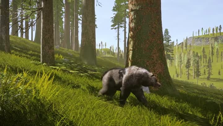 Gameplay Hunting Simulator nous présente sa faune et sa flore ...