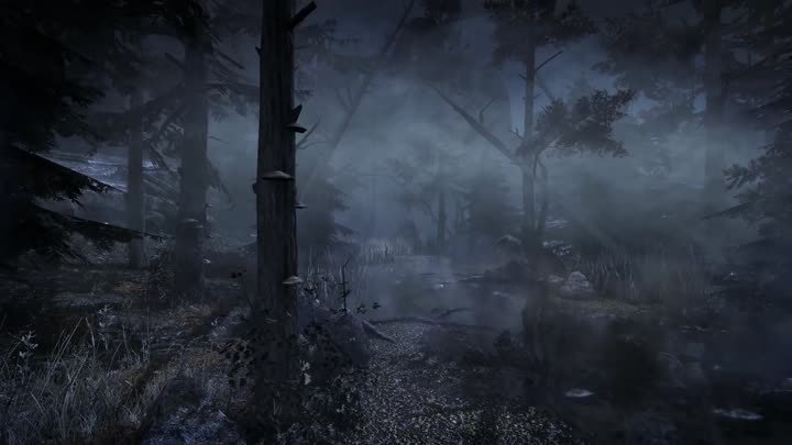 Bande-annonce Hellraid se dévoile à l'E3 2013 - jeuxvideo.com