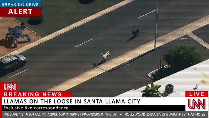 Bande-annonce Vicious Attack Llama Apocalypse - Les lamas prennent le ...