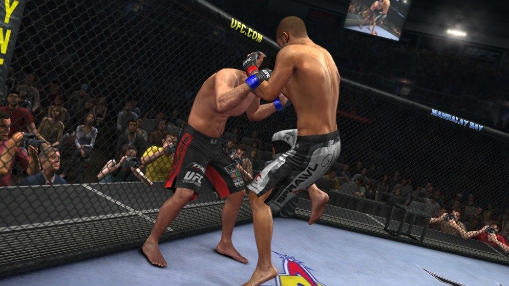 Ufc Undisputed 2010 Psp Download Link Unico - cocolasopa