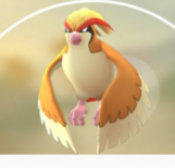 Roucarnage - Pokémon GO, astuces, guides, pokédex - jeuxvideo.com