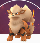 Arcanin - Pokémon GO, astuces, guides, pokédex - jeuxvideo.com