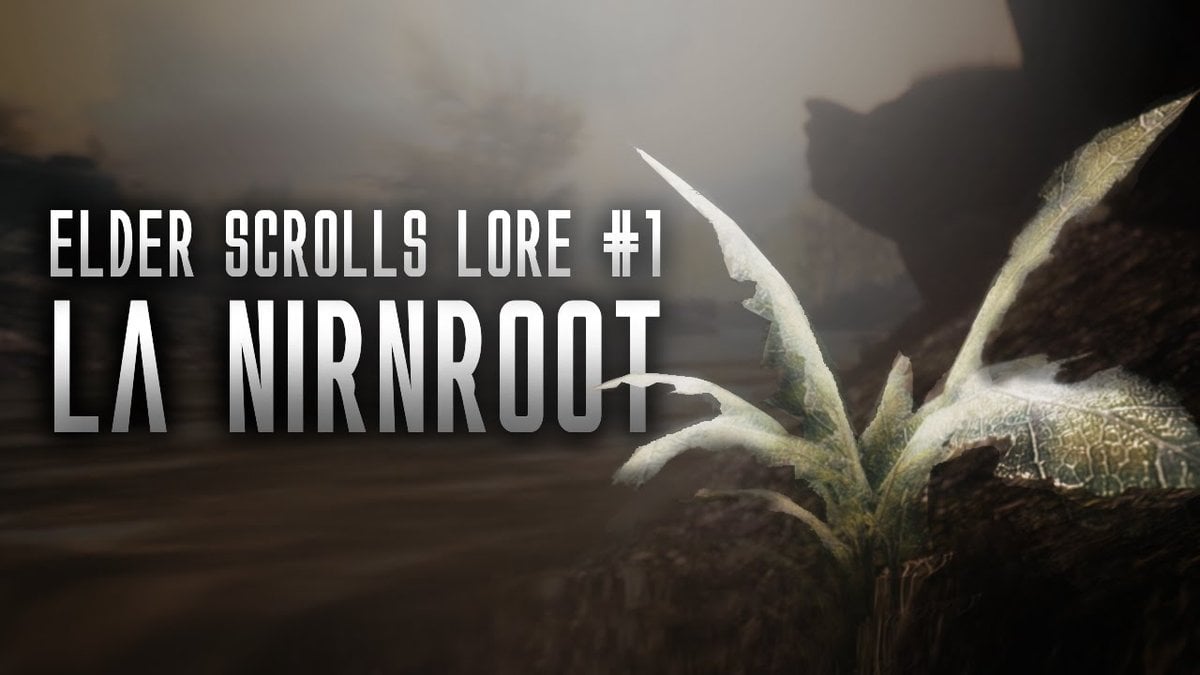 La Nirnroot - Solution complète de The Elder Scrolls 5 : Skyrim, guide, builds, astuces, mods ...