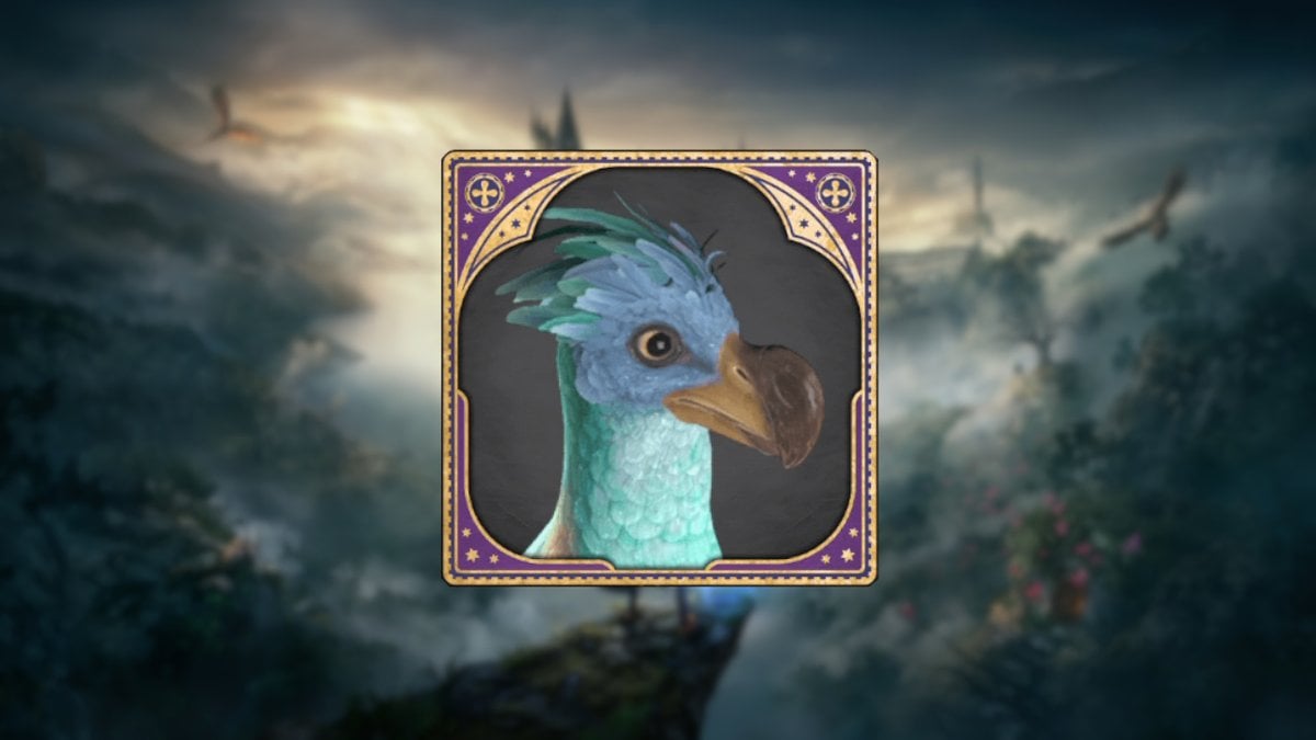 Dirico Hogwarts Legacy : comment obtenir cette créature fantastique ...