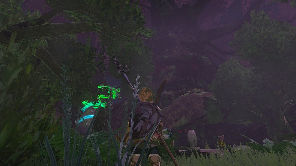 Forêt Korogu Zelda Tears of the Kingdom : Comment traverser les Bois ...