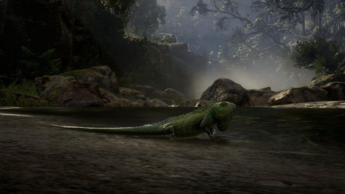 Iguane vert et crabe de terre cubain RDR2 : Où les trouver et à quoi ...