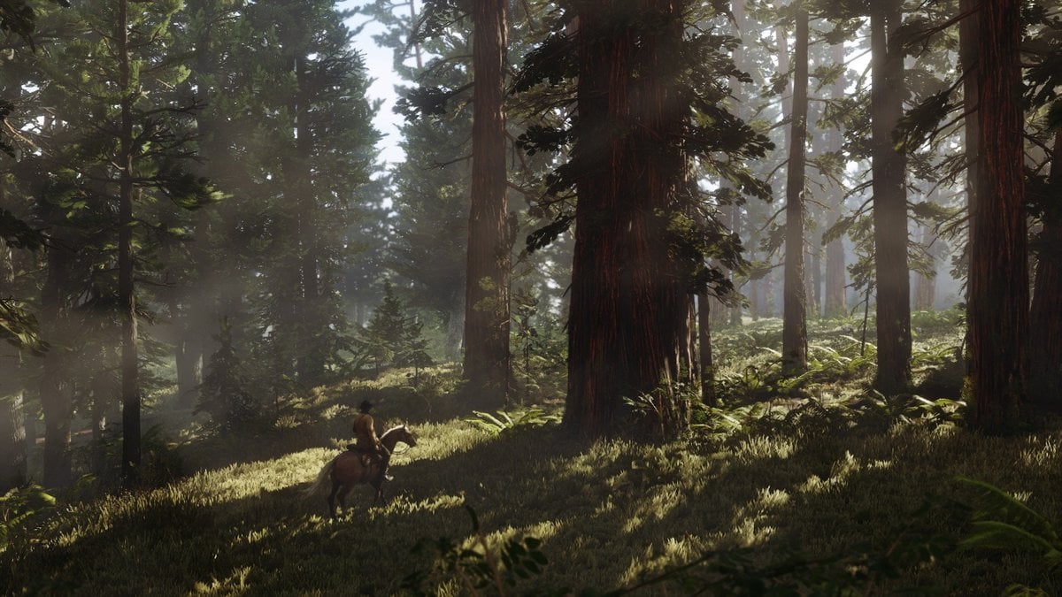 Tall Trees Red Dead Redemption 2 : Comment atteindre cette région et ...