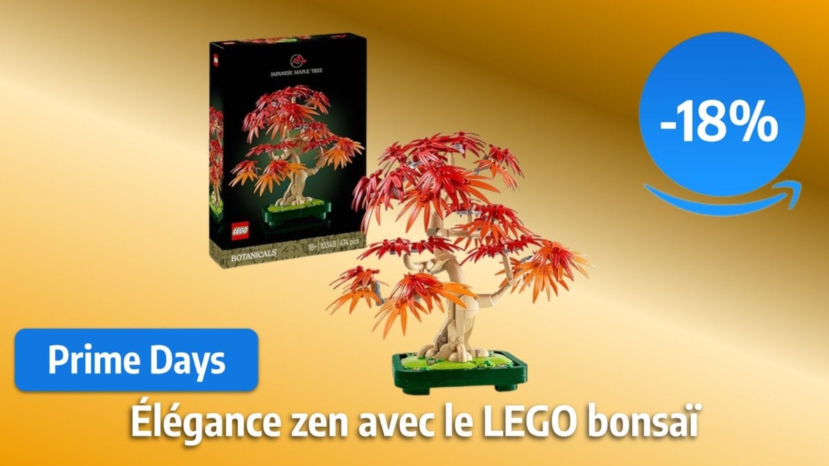 Le superbe LEGO bonsaï de l'érable rouge voit déjà son prix baisser à l ...