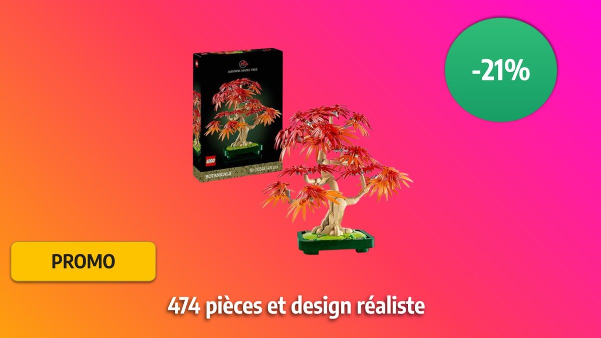 Le LEGO bonsaï d'érable rouge s'offre -21% de promo et fait partie des ...