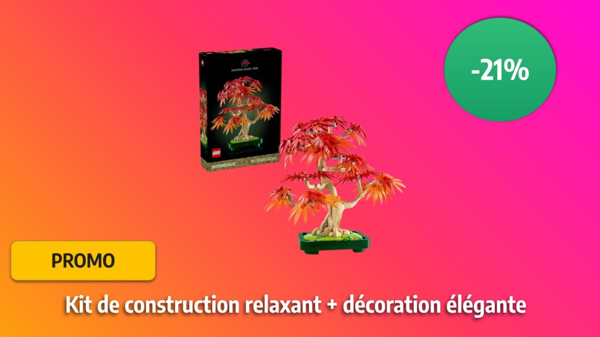 Le LEGO Bonsaï d'érable incarne un superbe élément de déco et profite ...