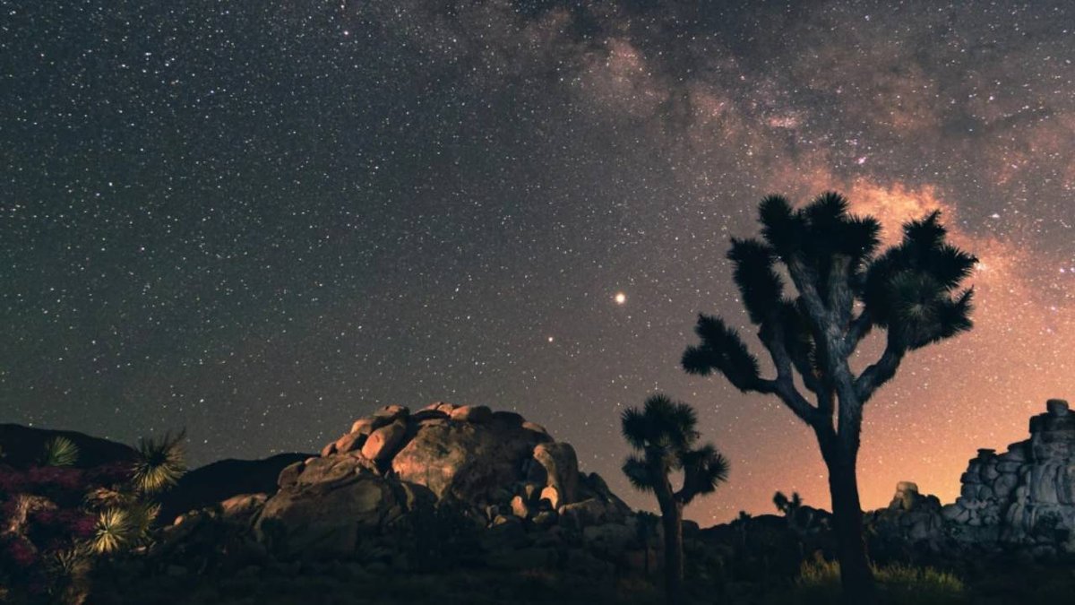 Les satellites d'Elon Musk font désormais tourner WhatsApp et Google ...