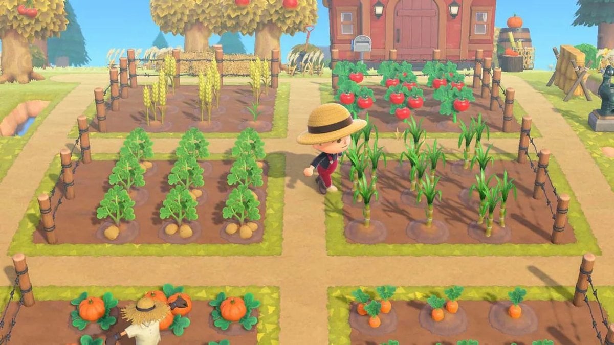Comment avoir de la canne à sucre dans Animal Crossing New Horizons ...