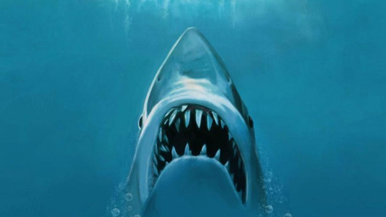 Netflix : 4 films sur les requins pour frémir cet été - jeuxvideo.com