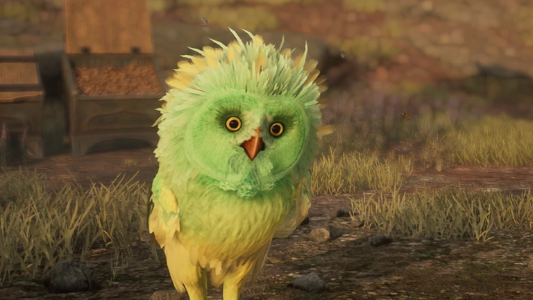 Focifère Hogwarts Legacy : comment obtenir cette créature magique ...