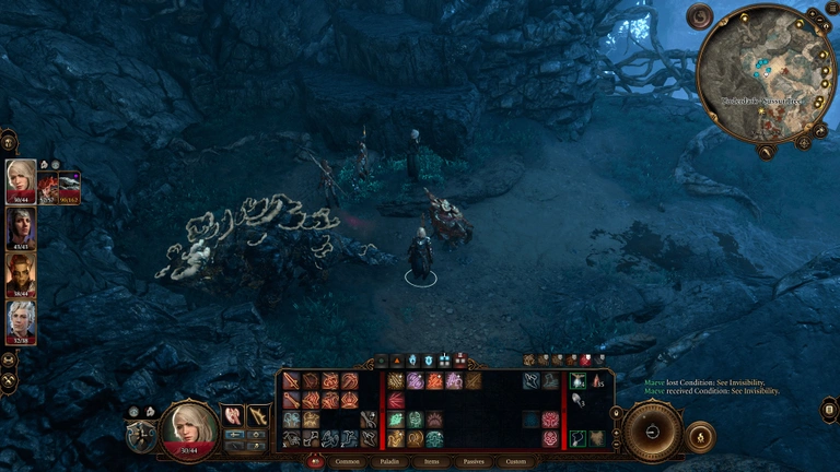 Bulette Baldur's Gate 3 : Où trouver et comment vaincre ce boss ...