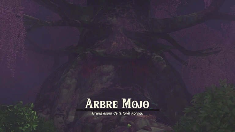 Arbre Mojo Zelda Tears of the Kingdom : Comment le sauver ? - jeuxvideo.com