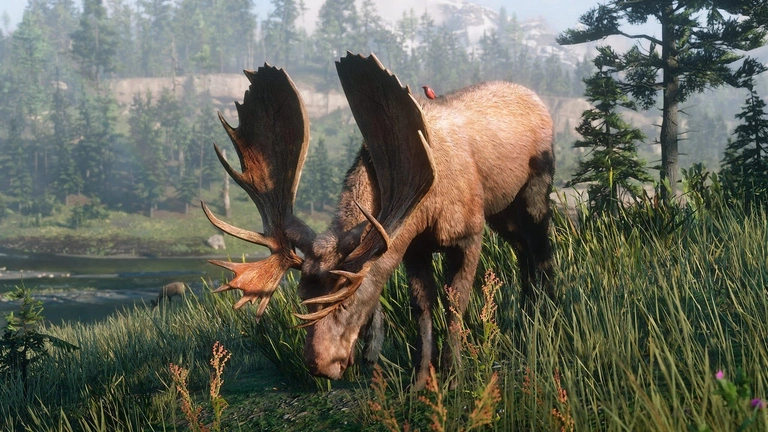 Locating Moose in Red Dead Redemption 2: A Helpful Map Guide - GAMINGDEPUTY