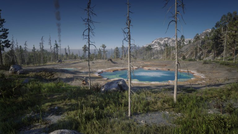 Cotorra Springs Red Dead Redemption 2 : Carte de la bande de Jack Hall ...