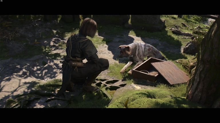 Habitants Settsu Assassin’s Creed Shadows : toutes les quêtes ...