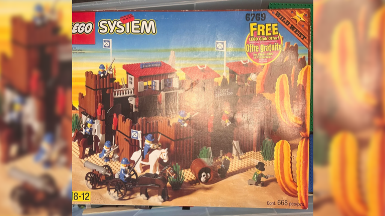 Le père d'un fan de LEGO achète une grande boîte remplie de LEGO pour ...