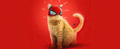 Spider-Man Across the Spider-Verse : histoire, personnages, date de ...