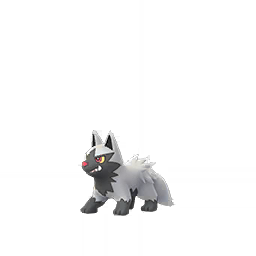 Flammes ténébreuses Pokémon GO : Boumata, Méga-Ténéfix, shiny hunting ...