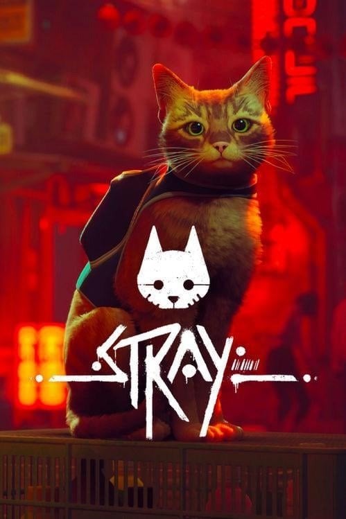 Stray sur Nintendo Switch - jeuxvideo.com